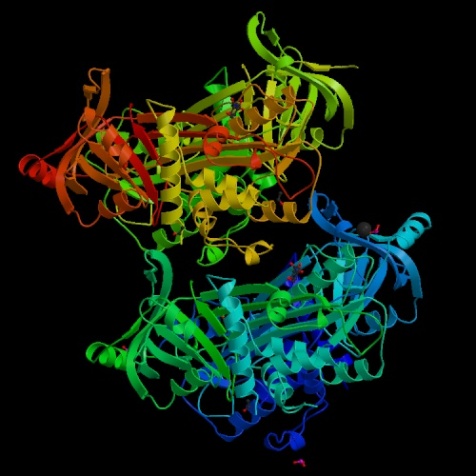 naturfag.no: Kort om proteiner