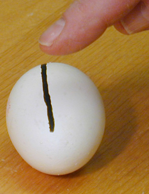 naturfag.no: Er egget kokt?