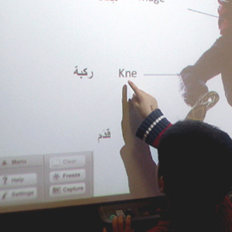 naturfag.no: Interaktive tavler og læring